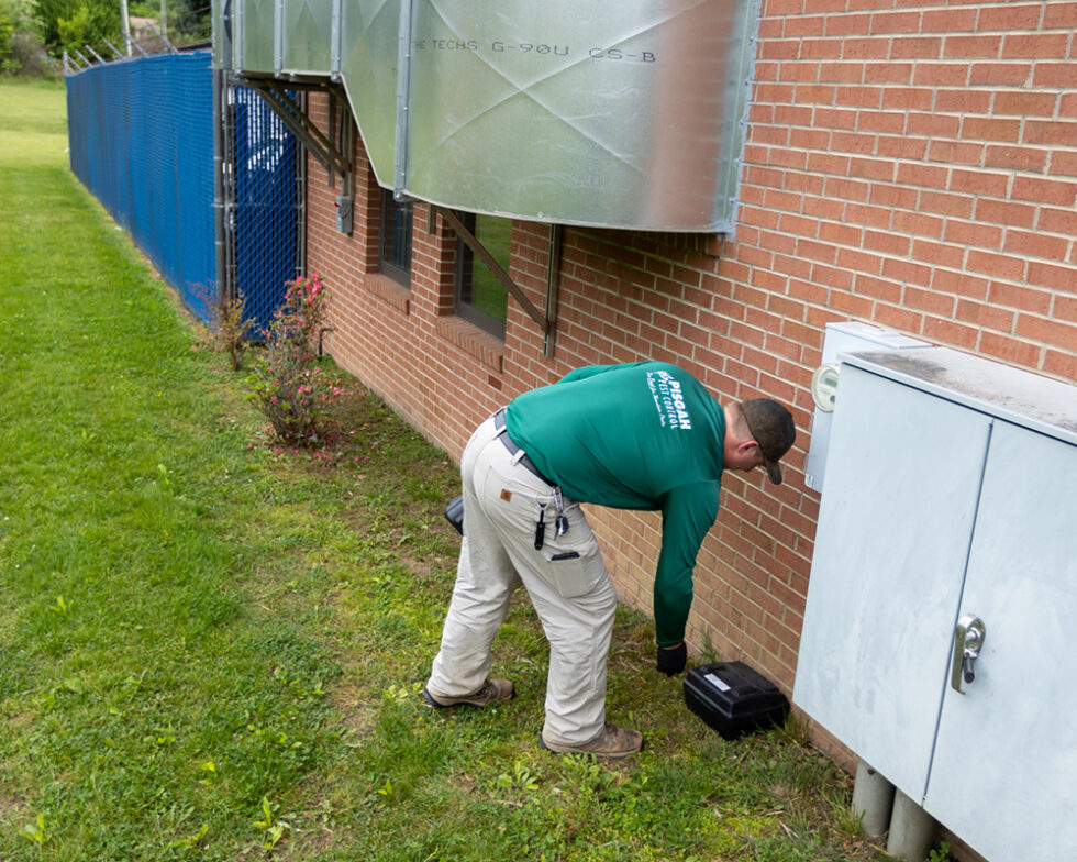 Pest Control & Termite Treatment - Pisgah Pest Control in North Carolina